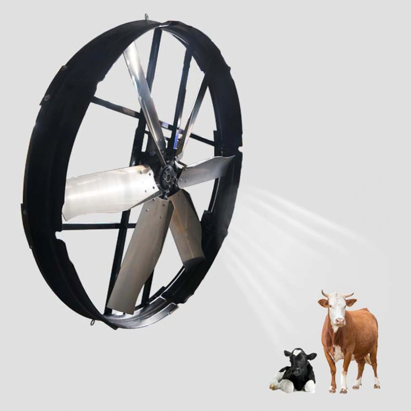 55'' Circular Panel Fan - Shanghai Terrui International Trade Co., Ltd.